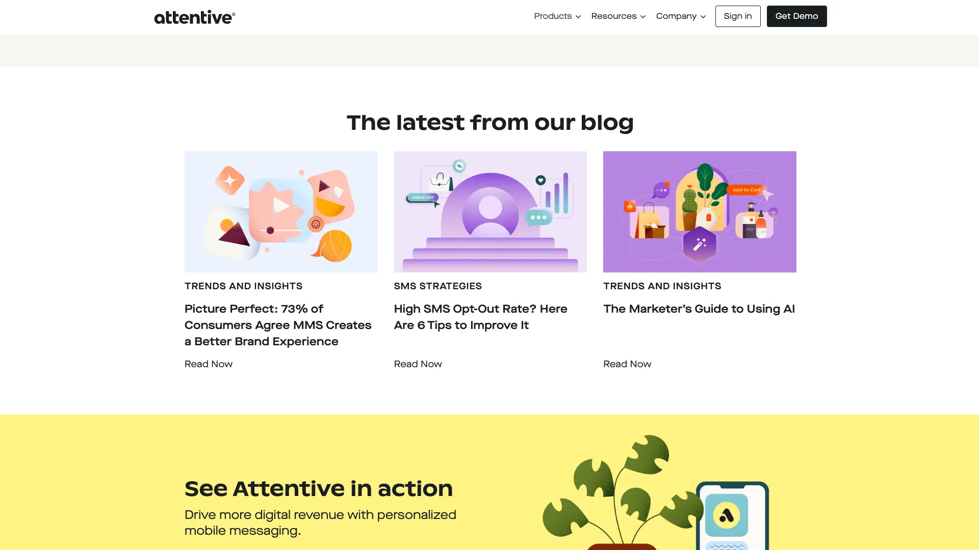 Shadow | Webflow Development and No Code Solutions